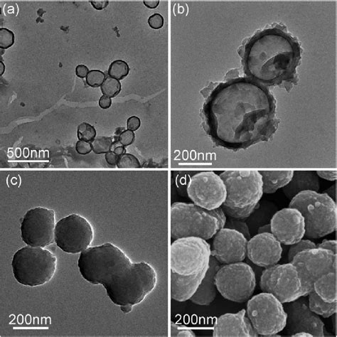 Tem Graphs Of A Polydopamine Capsule B N Doped Carbon Capsule C