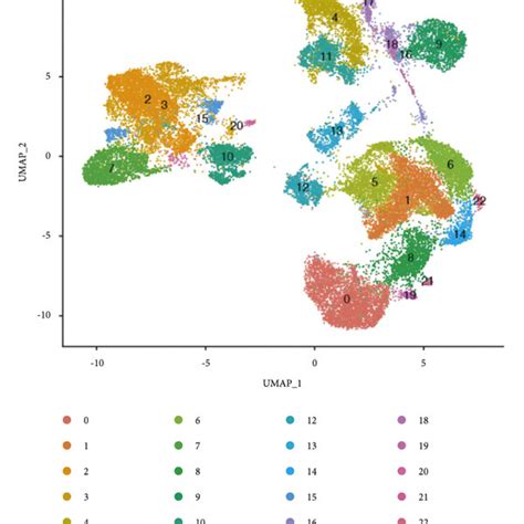 Cell Clustering And Trajectory Analysis Based On The Scrna Seq Data Download Scientific