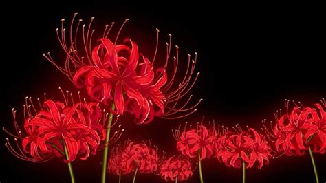 Spider Lilly Anime Flower Tokyo Ghoul Flower Tokyo Ghoul