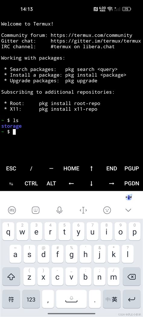 Android Termux 安装kali Linux 或 Kali Nethunter史诗级详细教程 惊觉