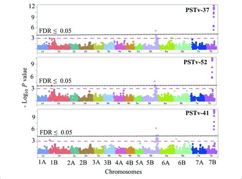 Manhattan Plots Showing P Values For Single Nucleotide Polymorphism Download Scientific