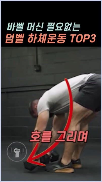 바벨과 머신 필요없는 덤벨 하체운동 Top3 Youtube