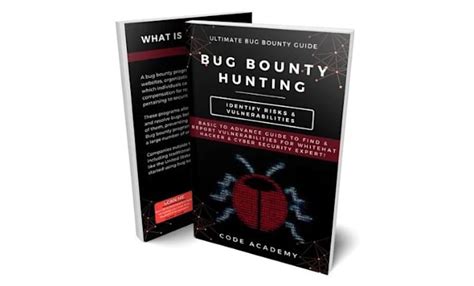 Teach You Bug Bounty Hunting Using Kali Linux By Cyberservices2 Fiverr