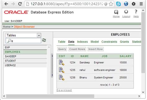 How To Save Records In Oracle10g Database Using Java