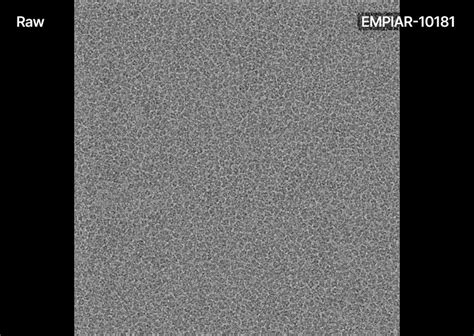 cryosparc v4 5 release notes exxact blog