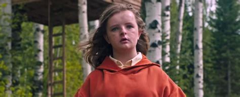 Hereditary Movie Plot Ending Explained The Cinemaholic