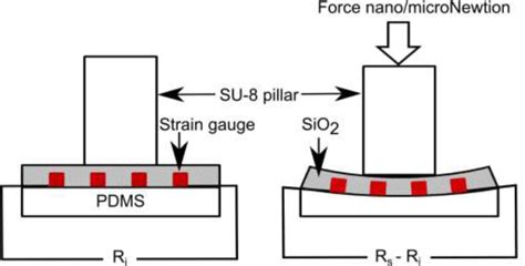 Figure 1 From Design And Fabrication Of A Flexible MEMS Based Electromechanical Sensor Array For