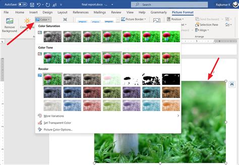 How To Change Image Color In Word Excel And PowerPoint
