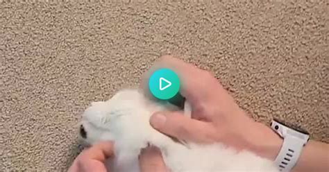 Frosty Is Joy Album On Imgur