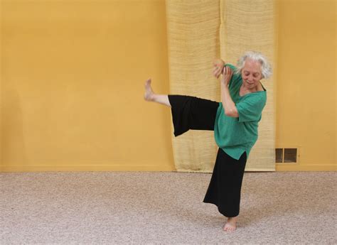 Bonnie Bainbridge Cohen Basic Neurocellular Patterns Book And Dvd