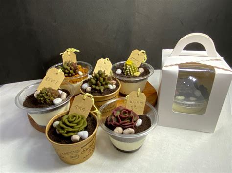 수원 앙금 다육이 컵케이크 솜씨당