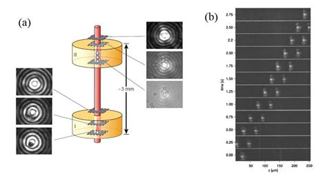 Optical Trapping With Bessel Beams A Trapping Of Multiple Particles Download Scientific