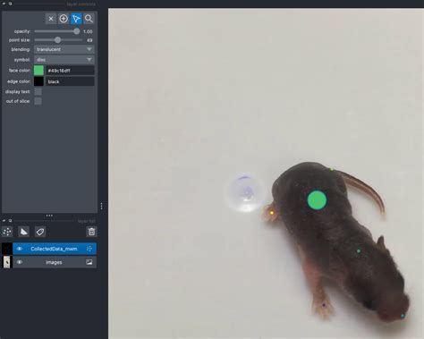 Questionkeypoint Size 🐛 How Do I Increase The Size Of All Keypoints