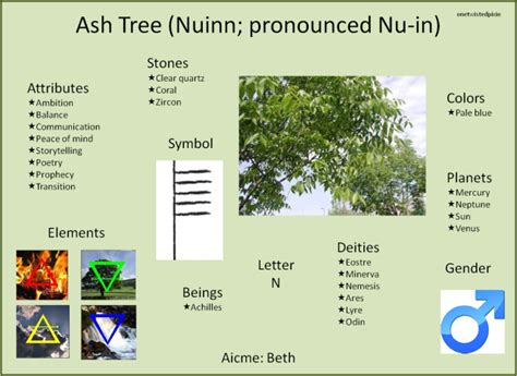 One Twisted Pixie Photo