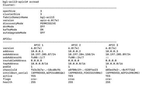 Configure A Standby Node In Cisco Aci 6x Using The Api Cisco