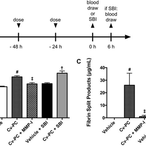 Cv Pc Increases Plasma Fibrinogen And Generates Fibrin Split Products Download Scientific