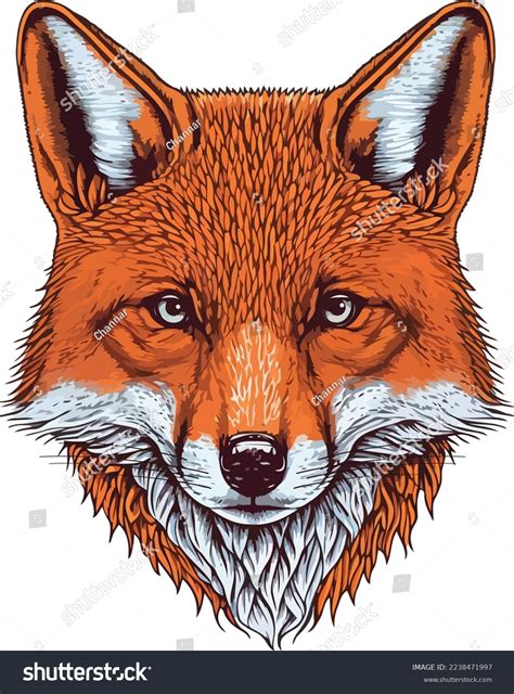 Red Fox Face Close Portrait Illustration Stock Vector Royalty Free