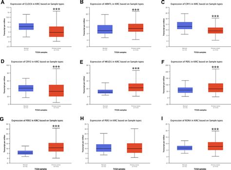 the expression of core circadian clock genes in kirc tissue and normal