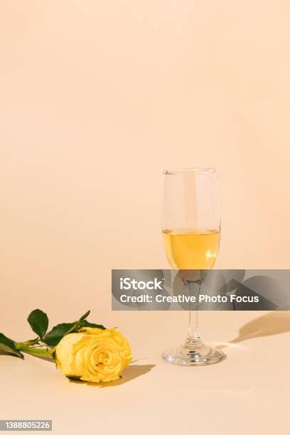 베이지 색 배경에 와인 글래스와 노란색 장미 꽃이있는 빈티지 스타일 컨셉 봄 최소 개념 공간을 복사합니다 노랑에 대한 스톡 사진 및 기타 이미지 Istock