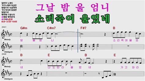 양지원 고향집 Youtube