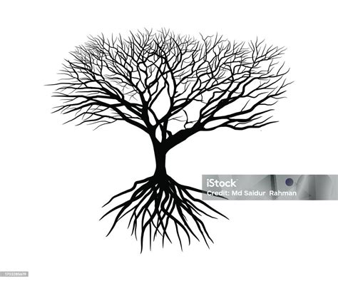 나무 벡터 흑백 일러스트레이션 자연 가로 윤곽선 식물 잎 계절 성장 아이콘 세트 추상 식물학 숲 가지 식물 부분 단순성 디자인 요소 디자인 아이콘 기호 그림 예술 제품 꽃