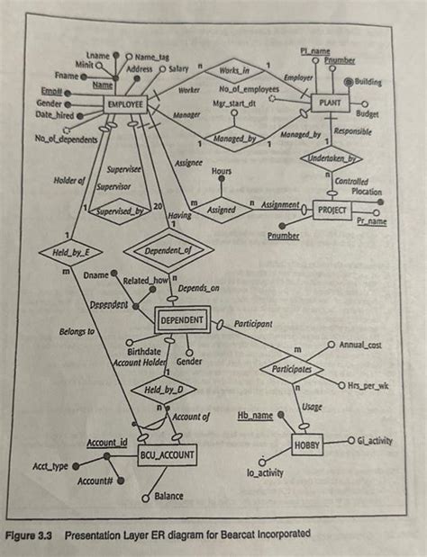 Solved Flgure 3 3 Presentation Layer Er Diagram For Bearcat