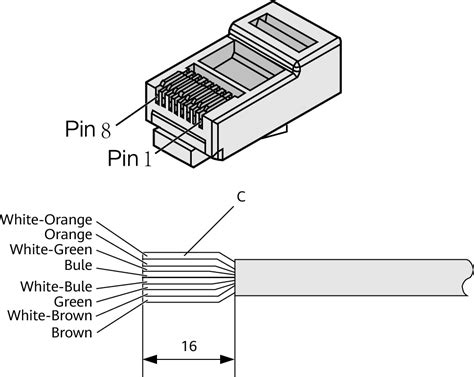 Assembling An Unshielded Rj45 Connector And Ethernet Cable