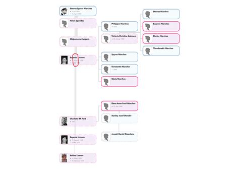 Displaying Spouses · Issue 40 · Magicsundaywebtrees Descendants Chart · Github