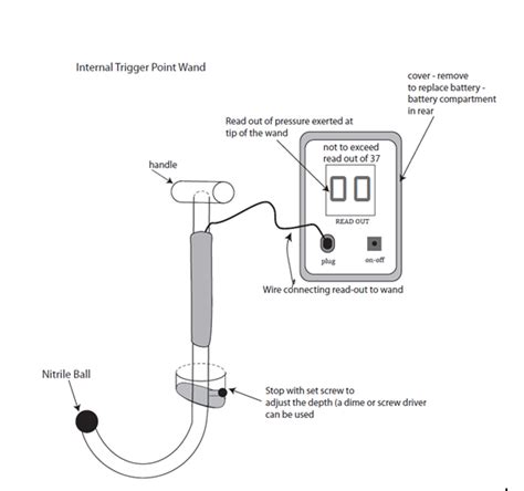 Trigger Point Image Pelvic Pain Help