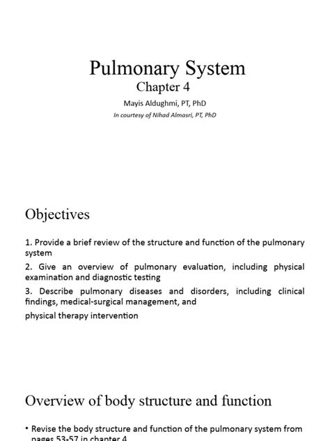 Pulmonary System 3 Pdf Lung Breathing
