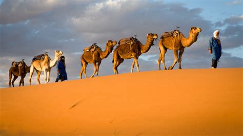Moroccos Ancient Caravan Routes Tracing The Paths Of Trade
