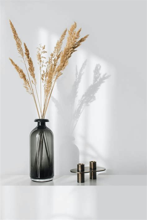 Безкоштовне стокове фото безтурботний ваза вишуканість впритул декорація домашній декор