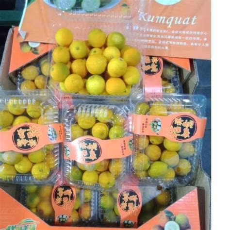 Jual Jeruk Kimkit Pack Shopee Indonesia