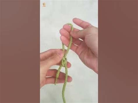 Essential Knots You Need To Know Most Usefull Knots In Life P