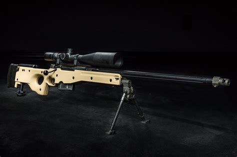 Texas Plinking The Accuracy International Awm With