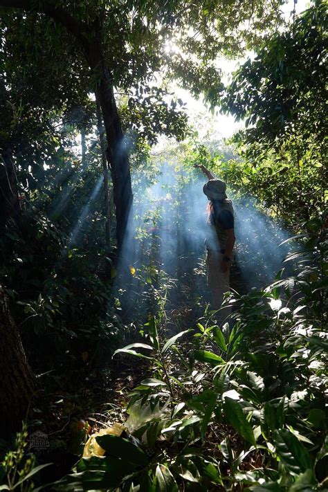 ក្រសួង បរិស្ថាន ៖ ទំនប់បឹងវារីអគ្គិសនីគីរីរម្យ១ ក្រៅពីទេសភាពស្រស់ស្អាត យើងក៏អាចស្ទួចត្រីកម្សាន្ត