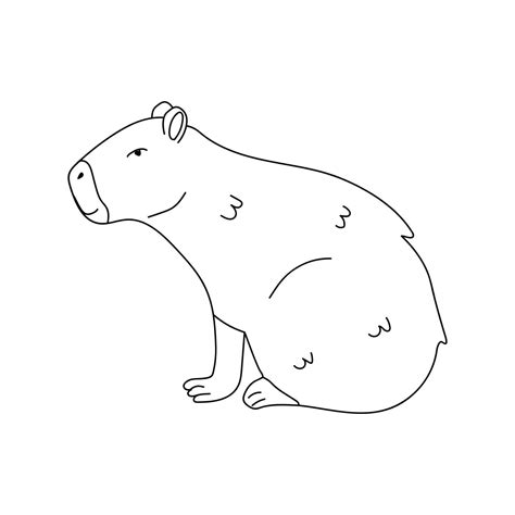 Line Drawing Of A Sitting Capybara 47823814 Vector Art At Vecteezy