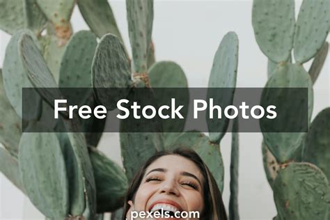 Close Up Analyzer Mexico Photos Download The Best Free Close Up