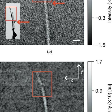 The Phase Contrast Signal Increases For The Low Absorption Contrast