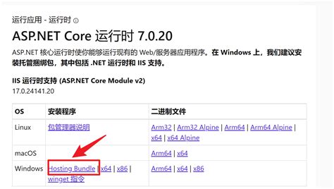 Dotnet Netcore Web Api 部署 Iis Windows 部署 Windows Server 超级无敌美少男战士 博客园