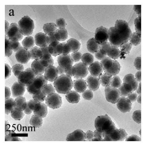 Schematic Of A Core Shell Nanoparticle Download Scientific Diagram