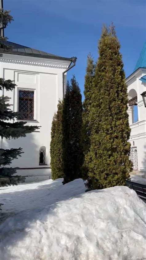 Шота Горгадзе On Twitter То что не отнять никогда и никакими