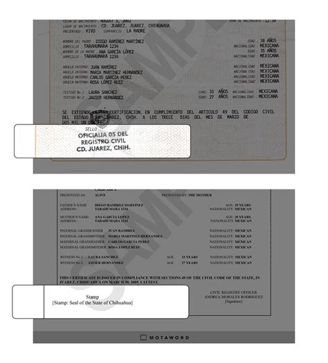 Mexican Birth Certificate Template