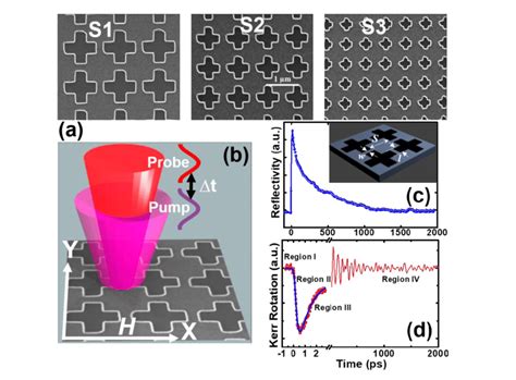 a scanning electron micrographs for three sample s1 s2 and s3 b