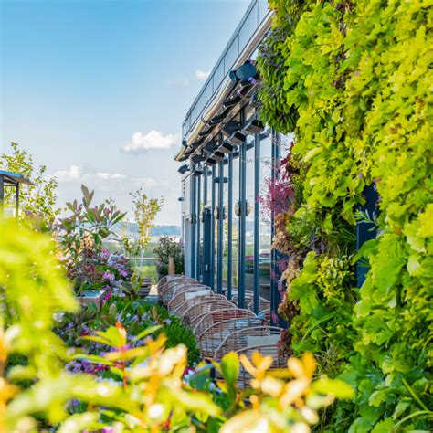 The Nest Rooftop Bar Marylebone Treehouse Hotel London