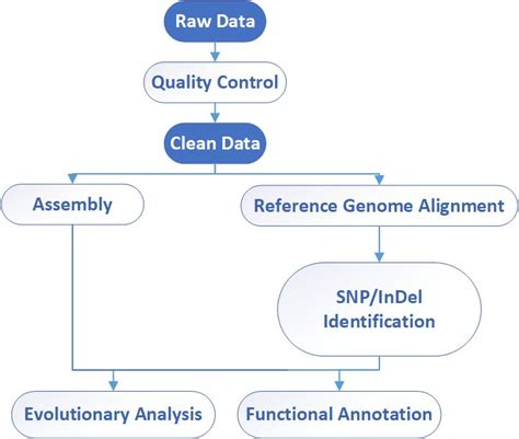 Viral Genome Sequencing Cd Genomics Genome Sequencing Genome Viral