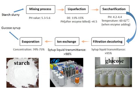 What S The Production Of Glucose Syrup Using Enzyme Hydrolysis Method FAQ