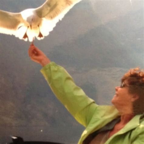 Beth Benoit Plymouth State University Plymouth Plymouth Department Of Psychology