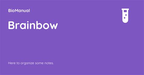 Brainbow Biomanual