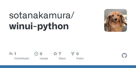 GitHub Sotanakamura Winui Python